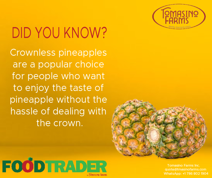 Crownless Pineapple Golden › Fresh Pineapple Costa Rica